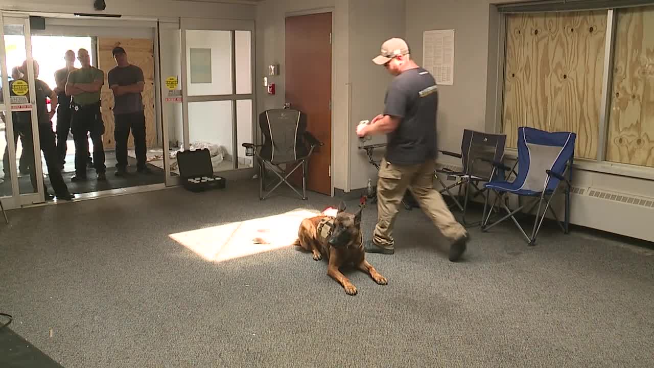 Bedford Heights police K-9 Bosco to get new partner – Fox 8 Cleveland WJW