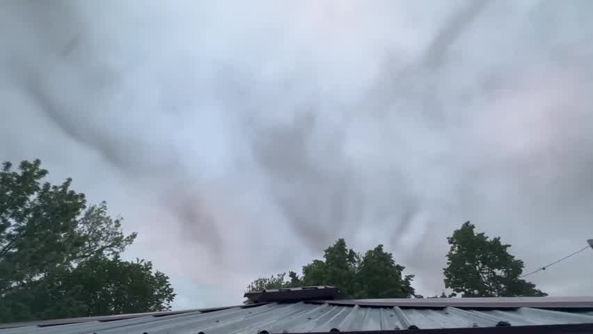 Midges 2025 – Fox 8 Cleveland WJW