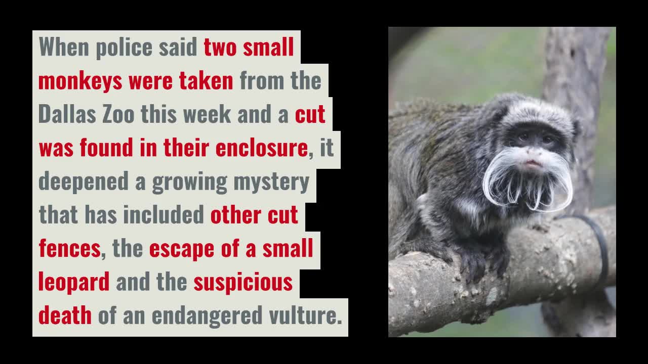 2 monkeys missing from zoo; other cages cut – Fox 8 Cleveland WJW